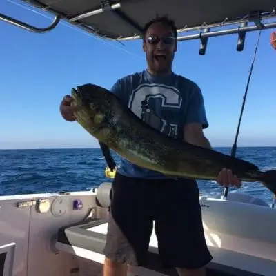 Robin Banks Wiki, Age, Bio, Height, Wife, Career, and Net Worth