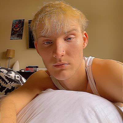 Joey Bardonaro Wiki, Age, Bio, Height, Girlfriend, Career, Salary